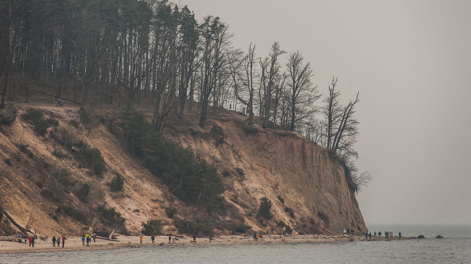 Klif orłowski w Gdyni to cud natury z terminem ważności. Co będzie, gdy ...