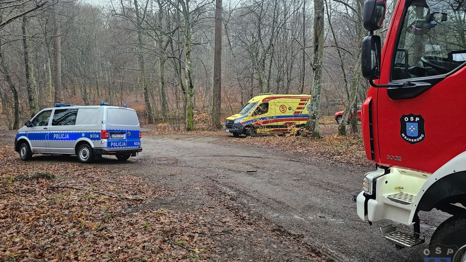 Tragedia w Wejherowie. W stawie utonął mężczyzna Tragedia w Wejherowie. W stawie utonął mężczyzna