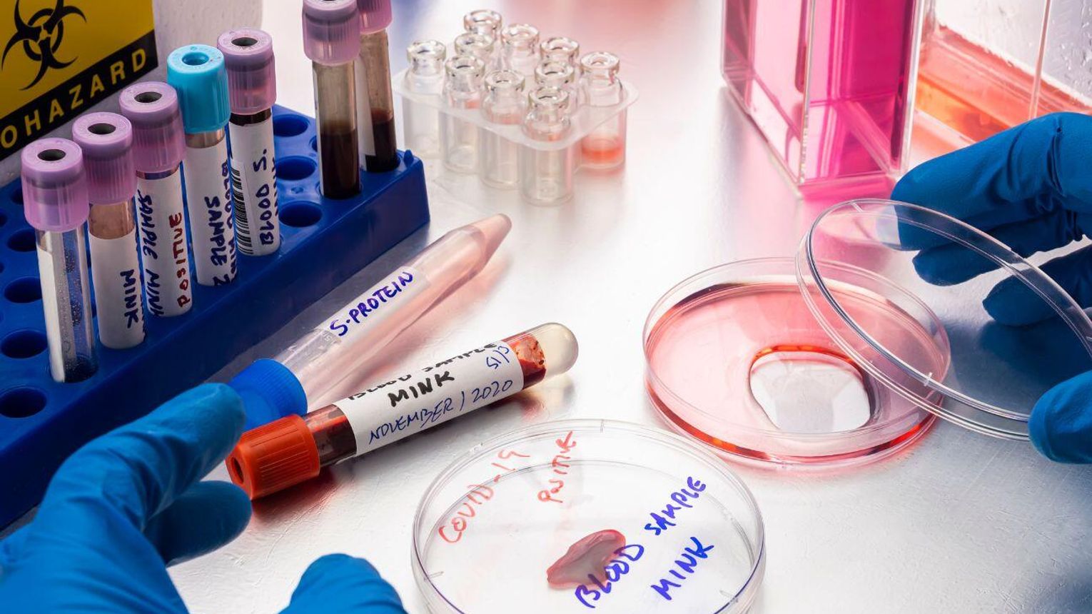 Zdrowie w 2025 roku. Czy pojawi się nowy wirus?